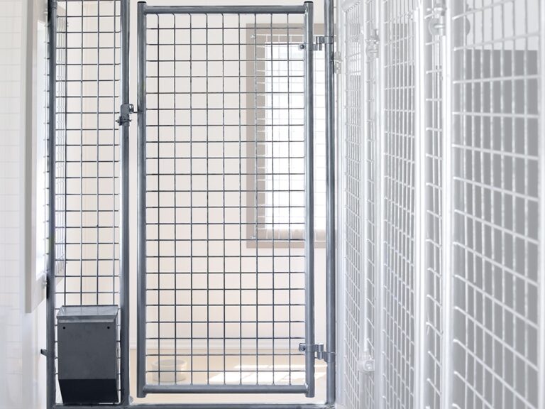 Long-Lasting Dog Kennel Fence | Backyard Pet Supplies