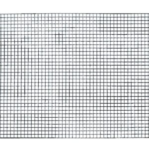 2" x 2" Welded Wire Kennel Fencing Sheets | Backyard Pet Supplies