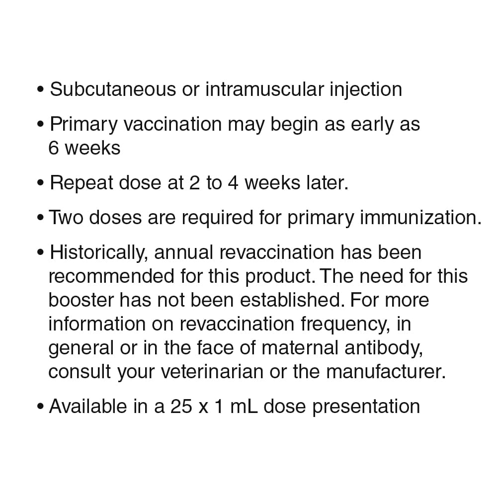 5 Way Dog Vaccine | Protect Your Canine From Diseases