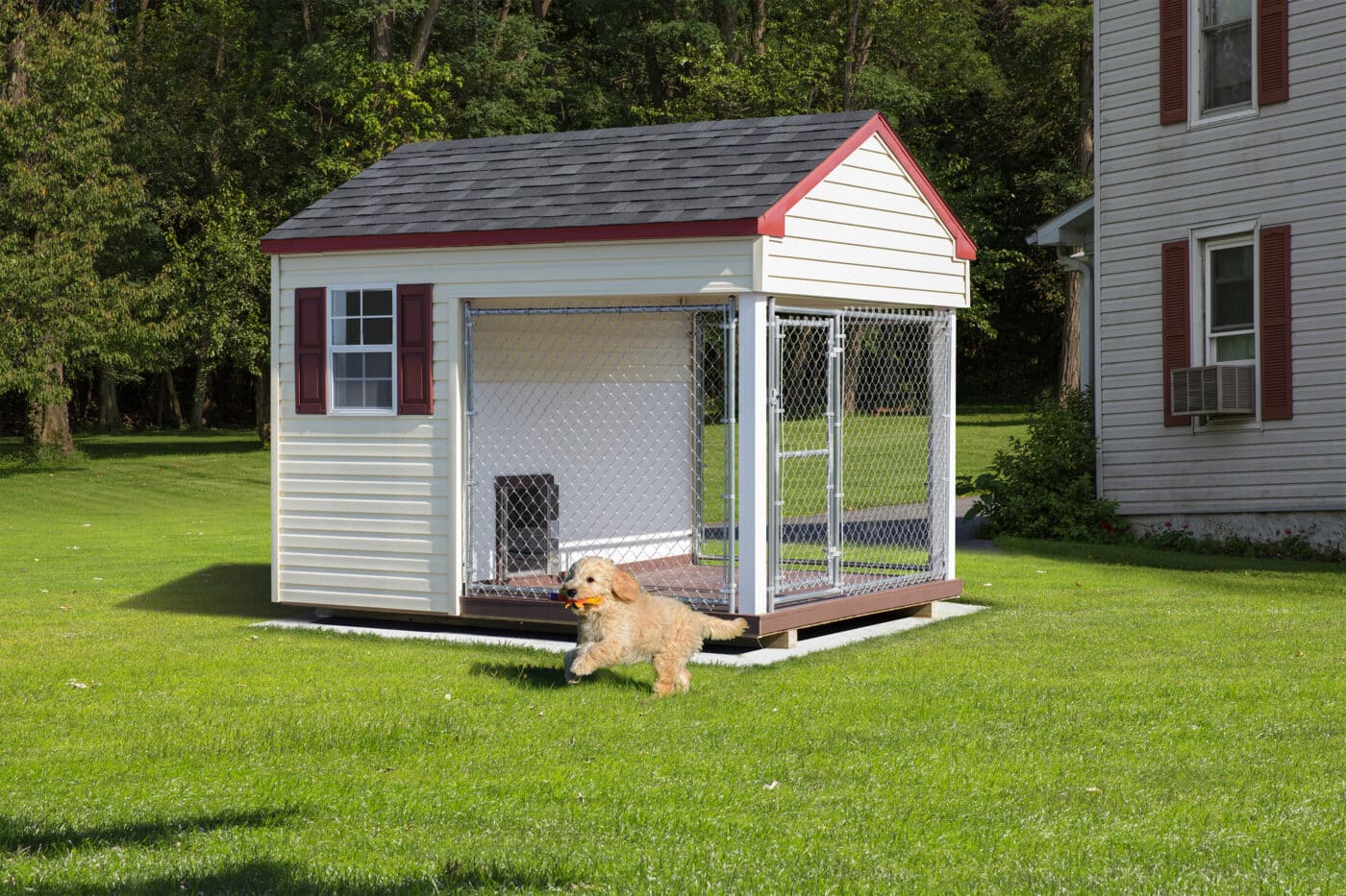 8x10 Dog Kennels For Sale Backyard Pet Supplies