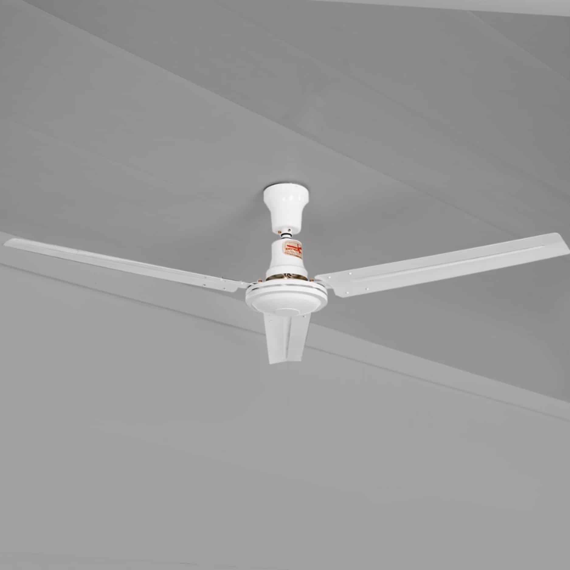 56” Electric Ceiling Fan | Keep Your Kennel Cool