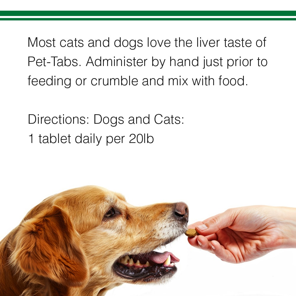 Boost Your Pet’s Health With Pet Cal | Good For Whelping Dogs