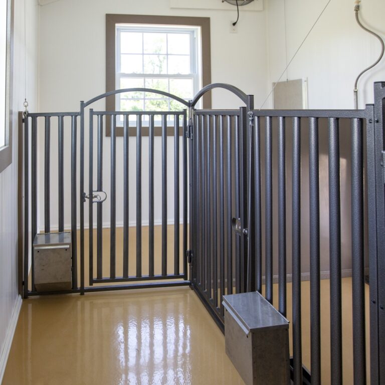 Powder Coated Stainless Steel Kennel Front | Top-Quality