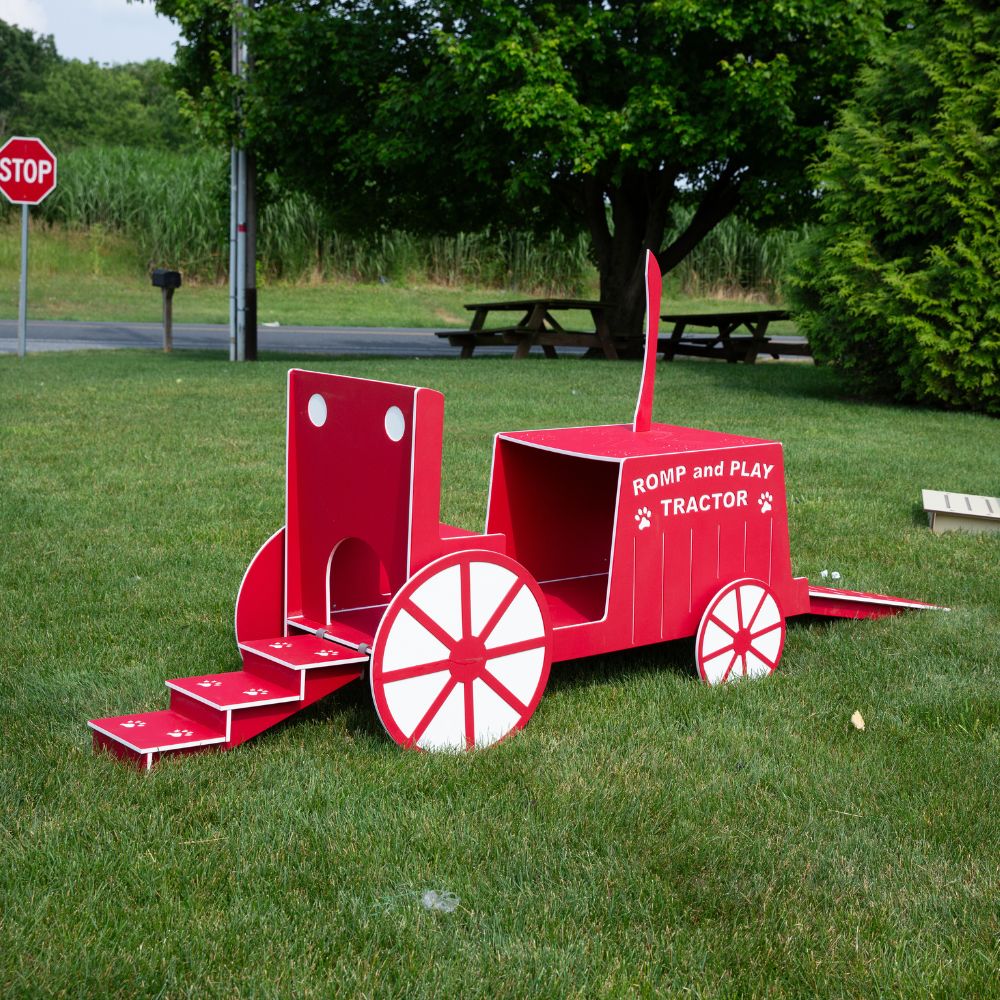 Dog Playground Equipment | Take the fun outdoors!