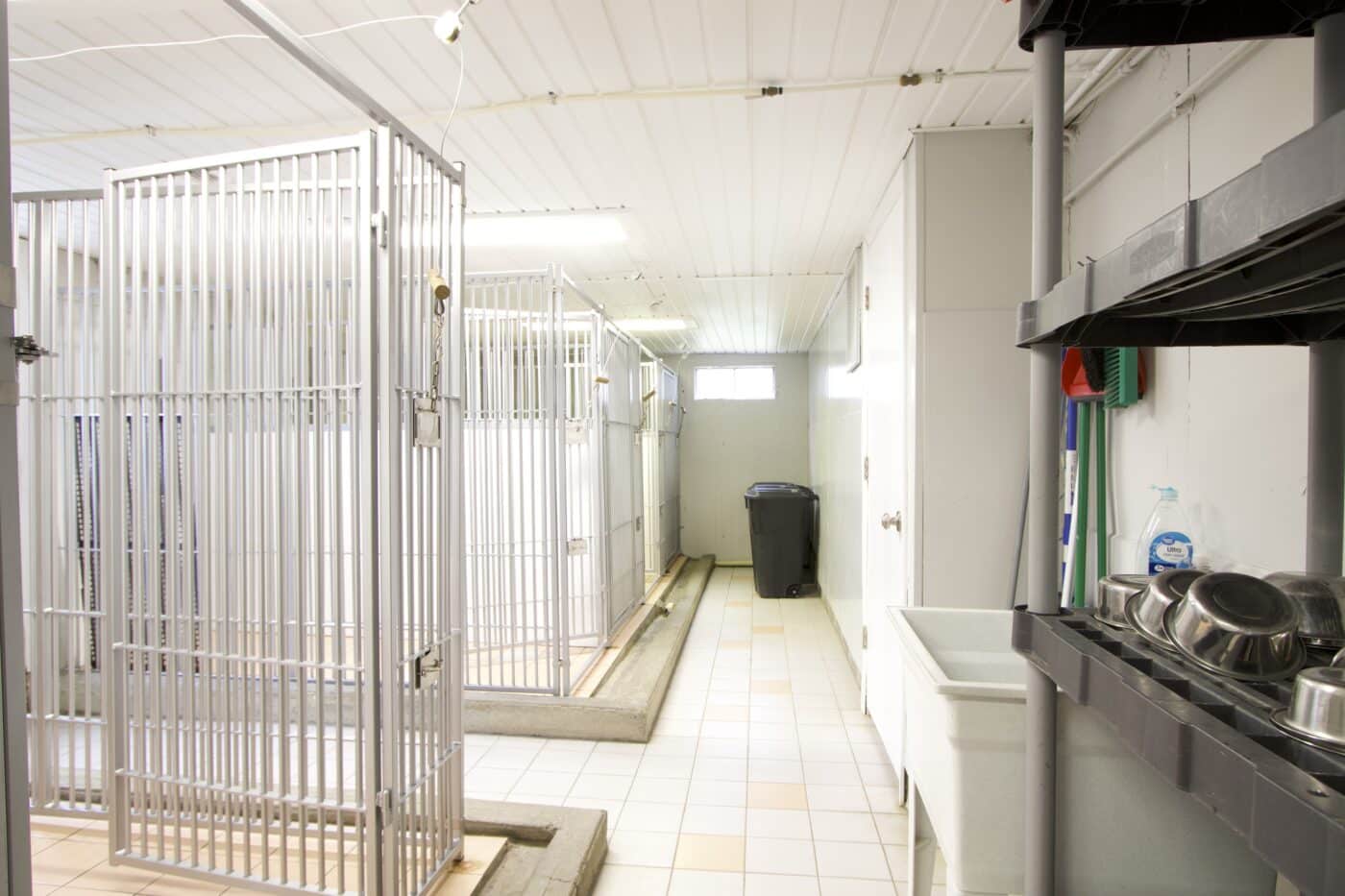 Dog Kennel Renovations | Backyard Pet Supplies