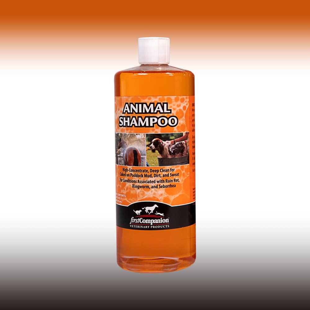 First Companion Animal Shampoo - Pina Colada | Backyard Pet Supplies